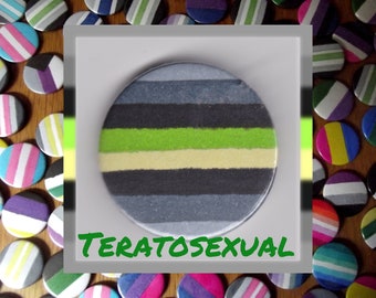 Fictoromantic Pride Flag - Etsy UK