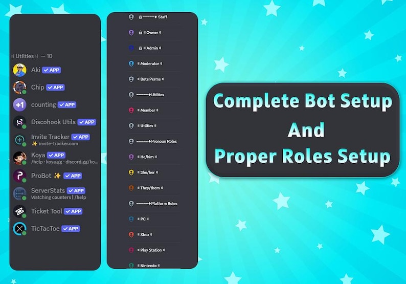 Cyan Discord Server Theme | Fully Setup, Custom Emojis & Roles - Etsy