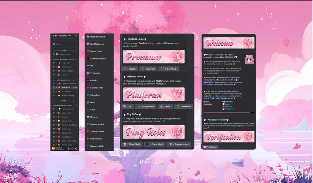 Fully Custom Discord Server Setup - Etsy