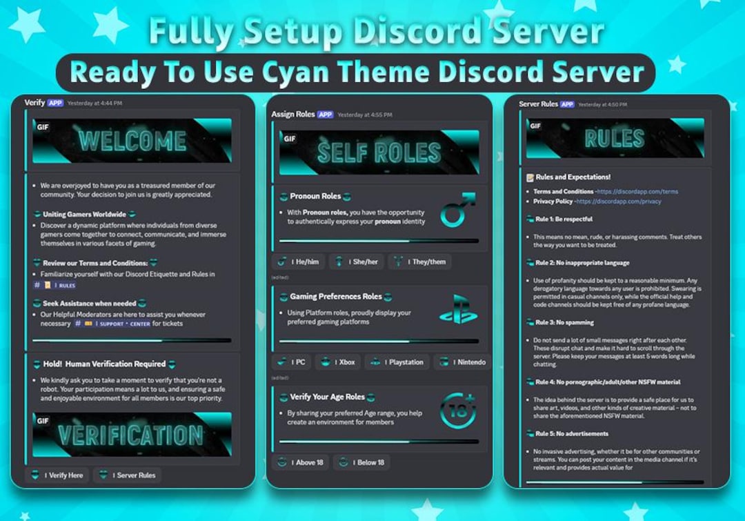 Cyan Discord Server Theme | Fully Setup, Custom Emojis & Roles - Etsy