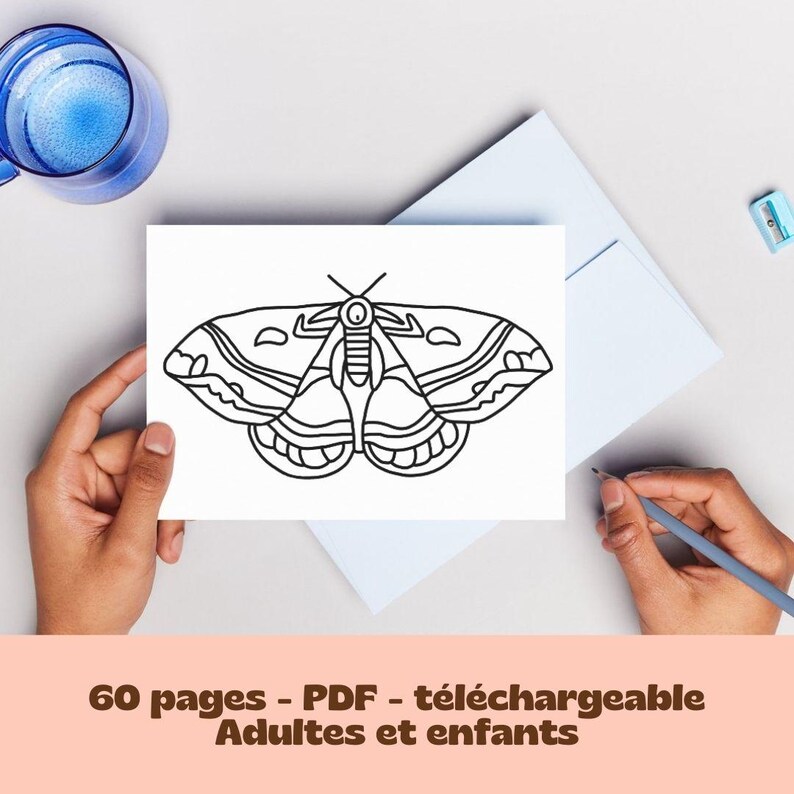 Livre De Coloriage Insectes à Imprimer – 60 Pages Pour Enfants ...
