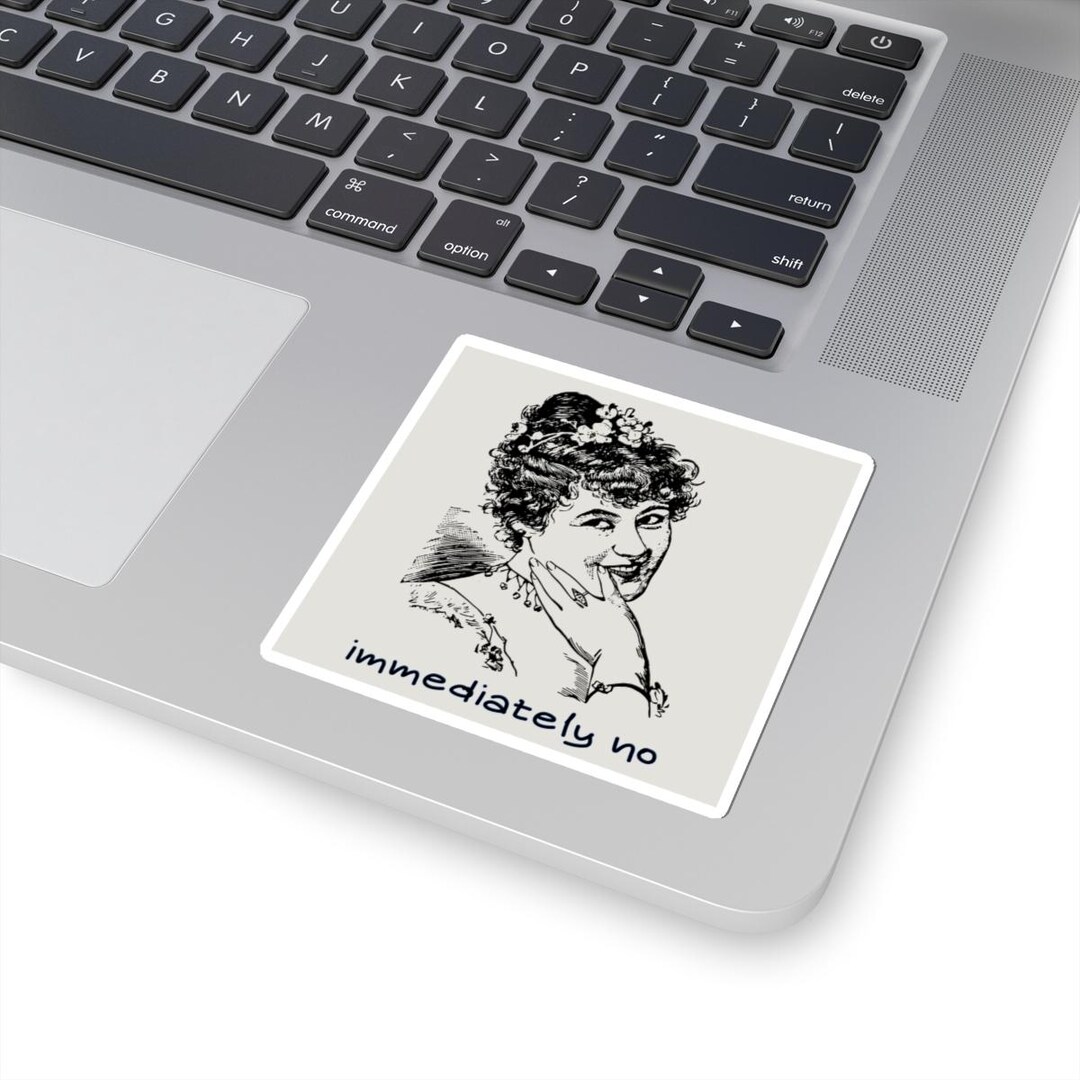 Sarcastic Cute Sticker, Funny Laptop Decal, Humorous Water Bottle Label ...