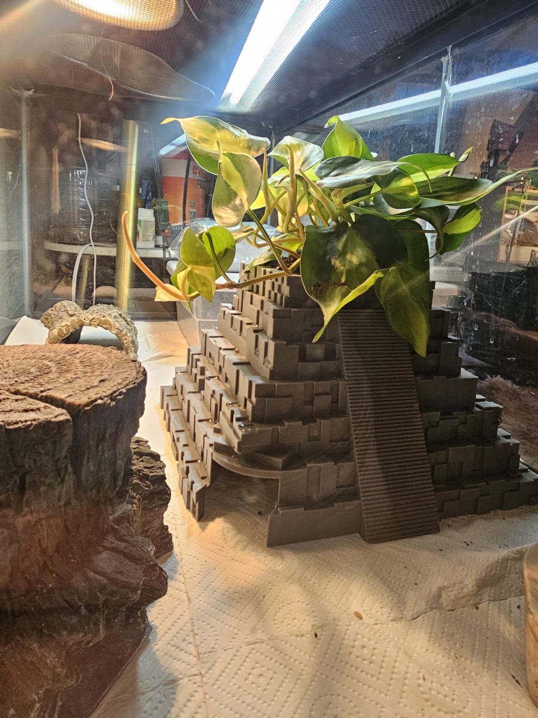 Reptile Hide, Tank Decoration, Reptile, Decoration - Etsy UK