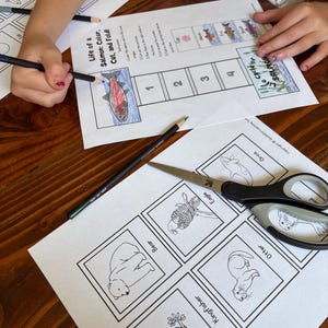 Salmon Life Cycle Craft for Kids | Kids Science Craft | Cut and Paste ...