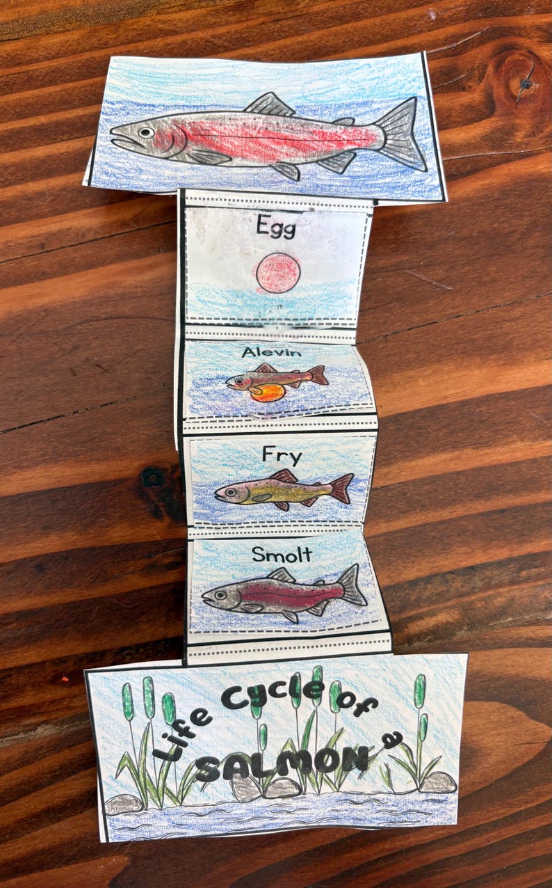 Salmon Life Cycle Craft for Kids | Kids Science Craft | Cut and Paste ...