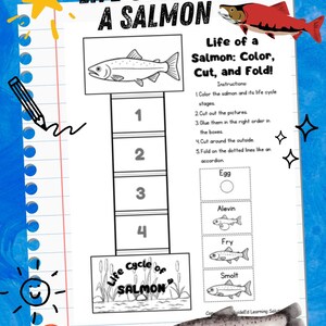 Salmon Life Cycle Unit Study | Animal Science Printable Pack ...