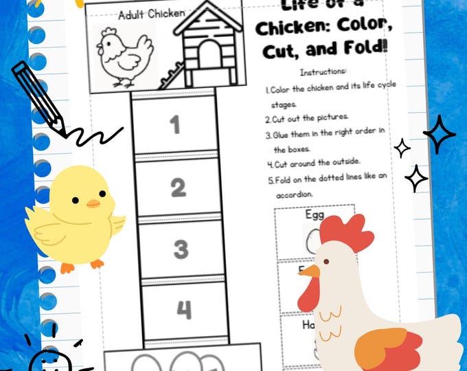 Life Cycle of a Chicken Wheel, Homeschool Science Unit Study ...