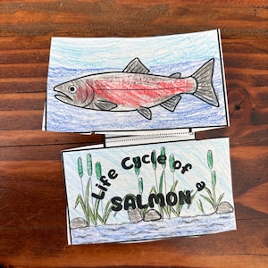 Salmon Life Cycle Craft for Kids | Kids Science Craft | Cut and Paste ...