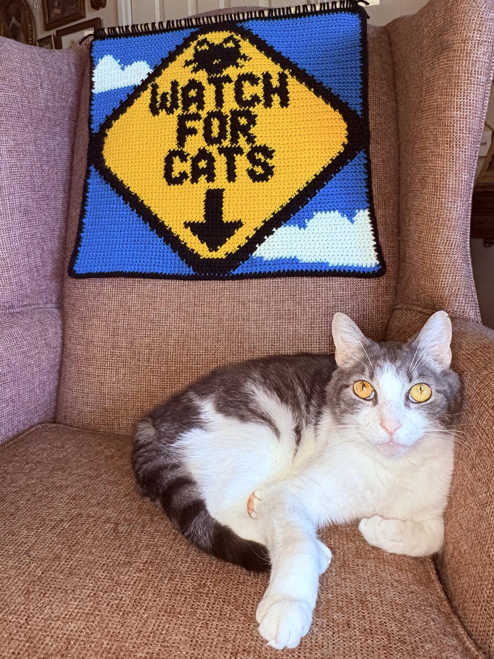 Watch for Cats Tapestry Crochet Pattern - Etsy