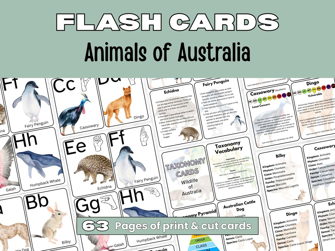 Australian Animals A-Z Nature Flashcards: Homeschooling Early Literacy ...