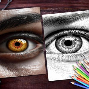 50 Realistic Human Eye Coloring Pages – Adult and Kids Coloring Book ...