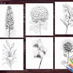 80 Realistic Flower Coloring Pages: Grayscale Floral Art (digital ...