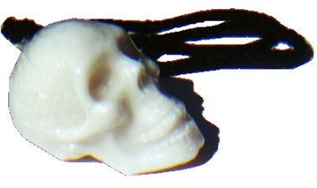 Skull Soap on A Rope - Etsy