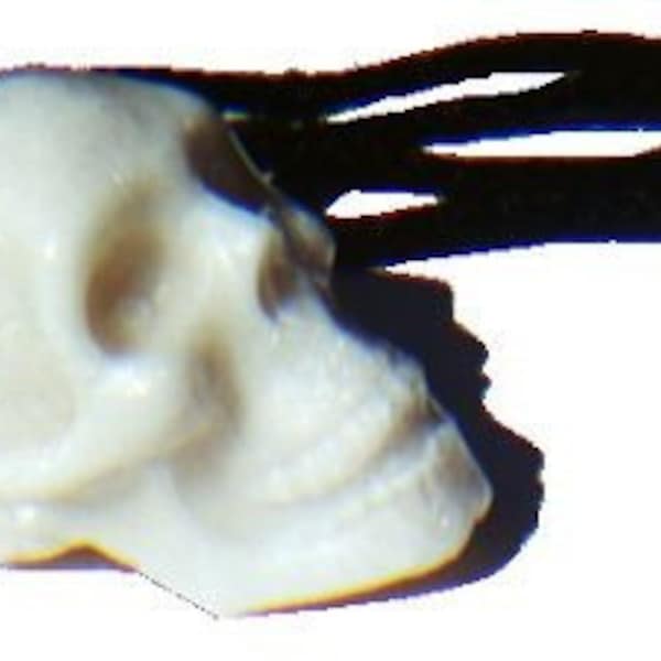 Skull on a Rope - Etsy