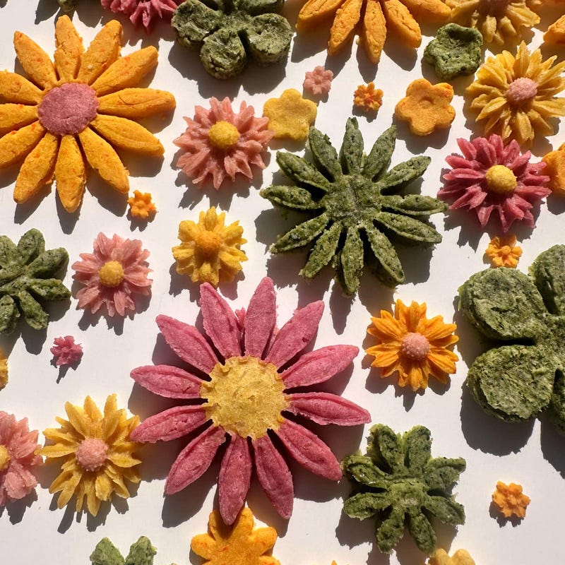 Cat on Pastries - Etsy