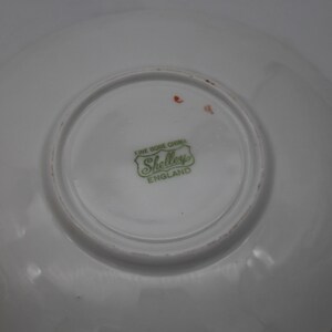 Shelley Tea Cup and Saucer Countryside Chintz Pink Oleander - Etsy