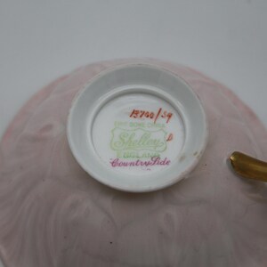 Shelley Tea Cup and Saucer Countryside Chintz Pink Oleander - Etsy