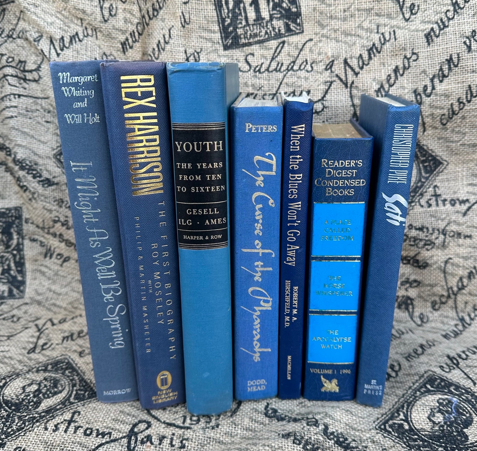 Blue Book Stack 7 Books Free Ship - Etsy