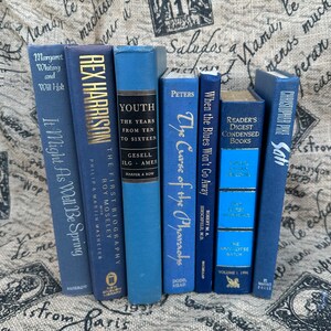 Blue Book Stack 7 Books Free Ship - Etsy