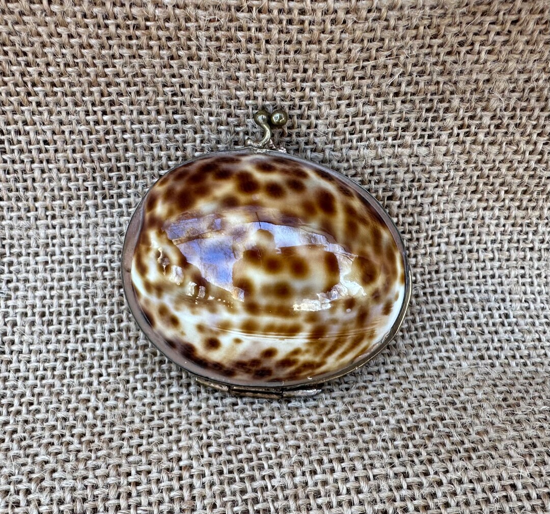 Cowrie Shell Look Coin Pill Box - Etsy