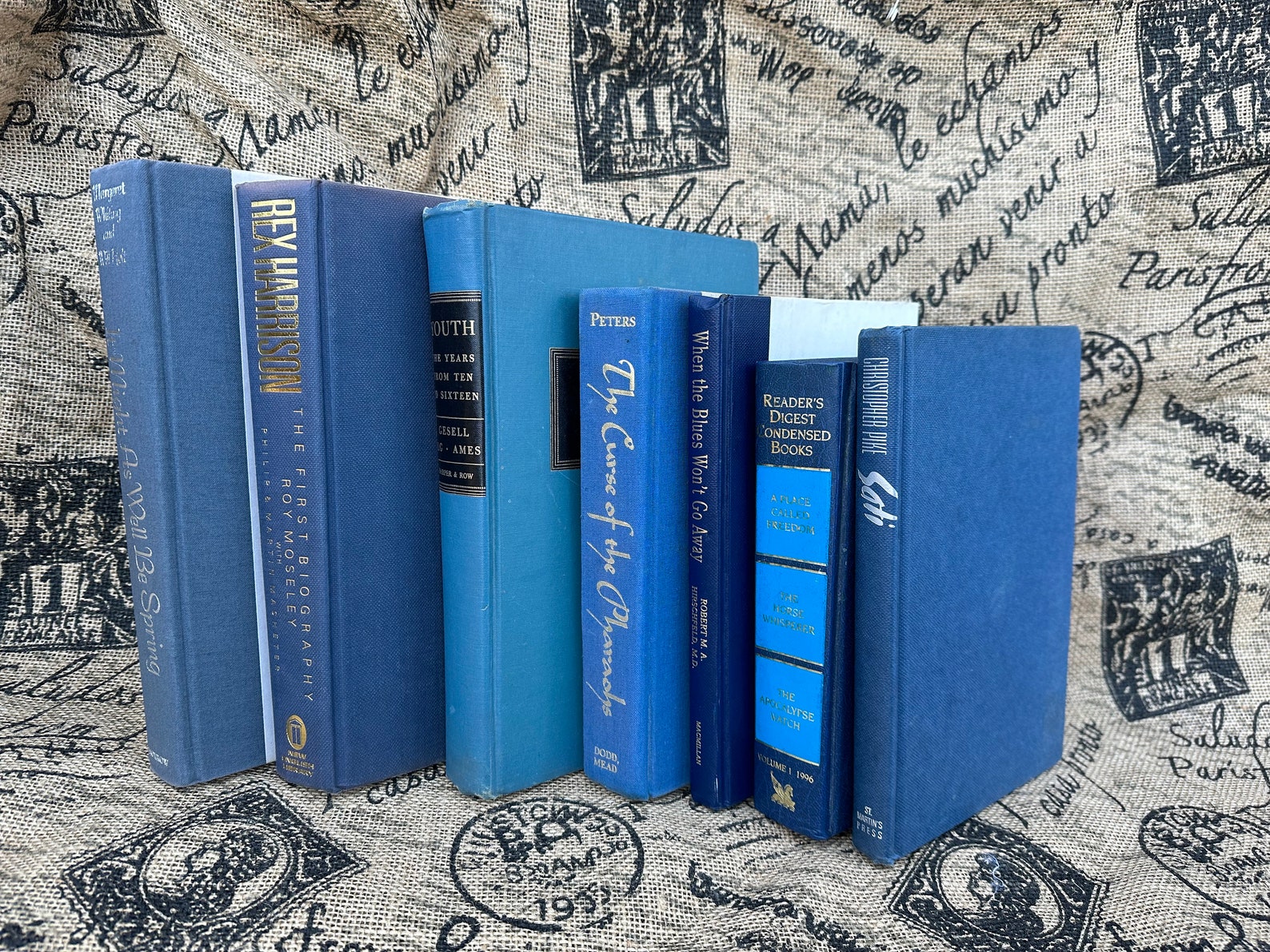 Blue Book Stack 7 Books Free Ship - Etsy
