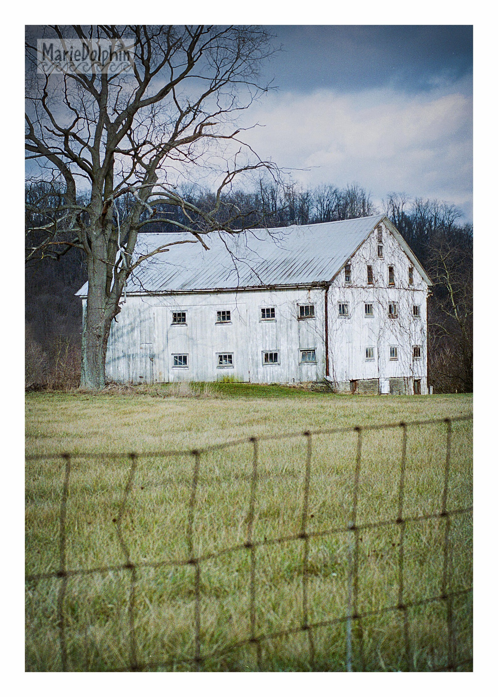 OLD Historical White BARN W Lots of Windows N Field Winter Tree Cloudy ...
