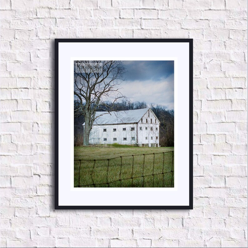 OLD Historical White BARN W Lots of Windows N Field Winter Tree Cloudy ...
