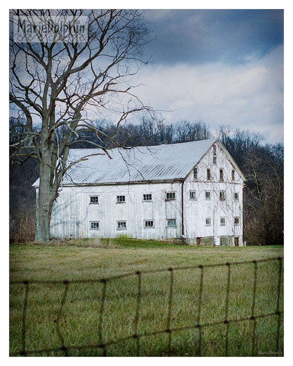 OLD Historical White BARN W Lots of Windows N Field Winter Tree Cloudy ...