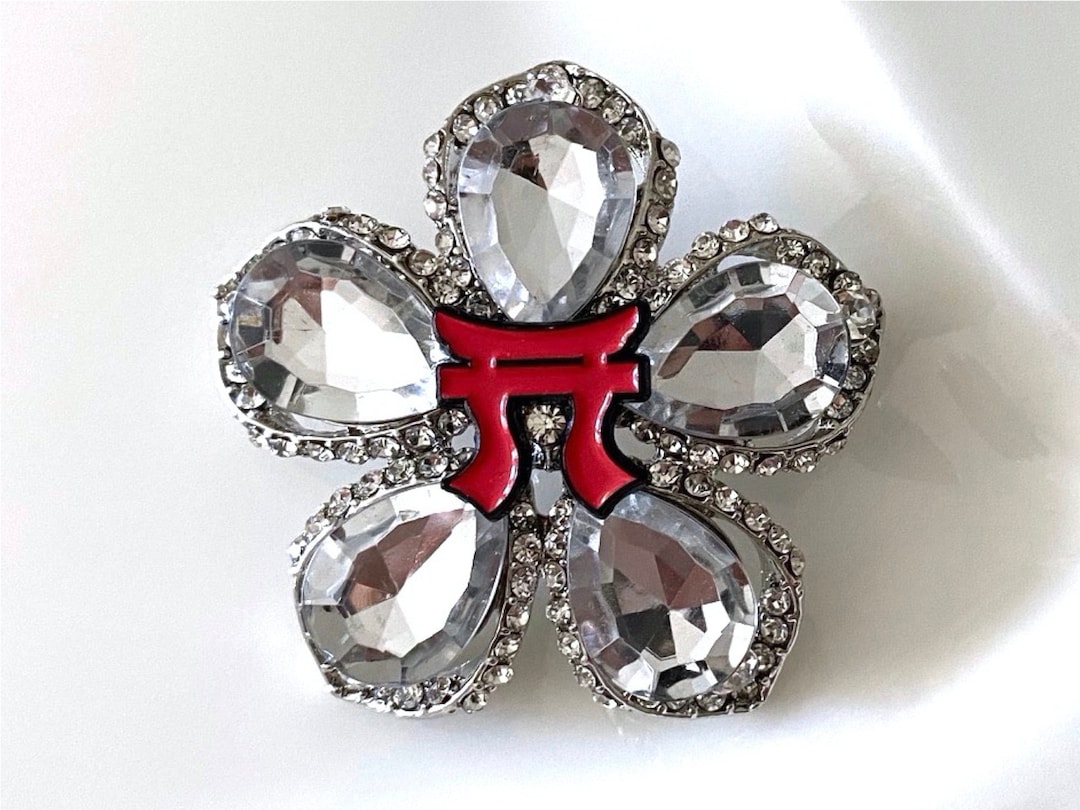 Rakkasans Brooch: 187th Airborne Infantry - Military Jewelry Pin - Etsy