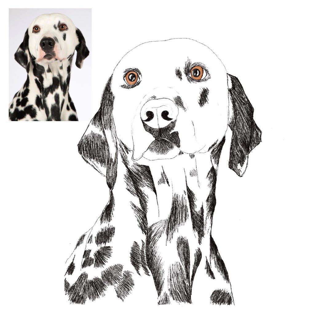 Custom Pet Outline Drawing, Dog Ear Drawing, Pet Tattoo Design, Cat ...