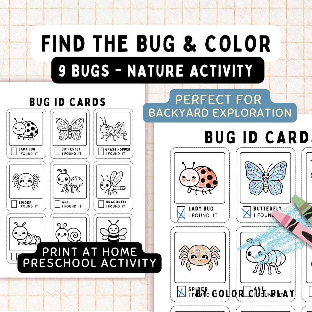 Bug ID Cards Printable – Nature Activity for Kids | Summer Cut and ...