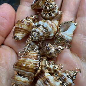 Sale Natural Sea Shell Gold Dipped Pendant Chain Necklace. Mermaid ...