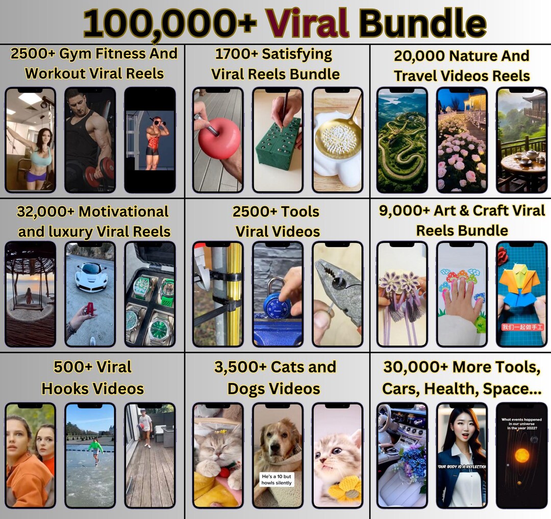 100,000+ Videos Bundle MRR PLR Satisfying Gaming Luxury Animated AI Motivational Funny Cat Dog ...