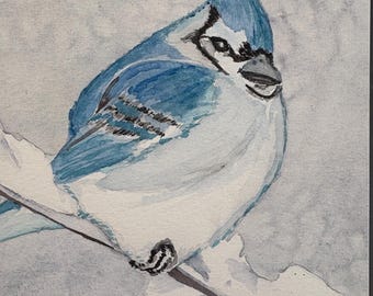 Bluejay Watercolor Painting - Digital Art Print on White Background ...