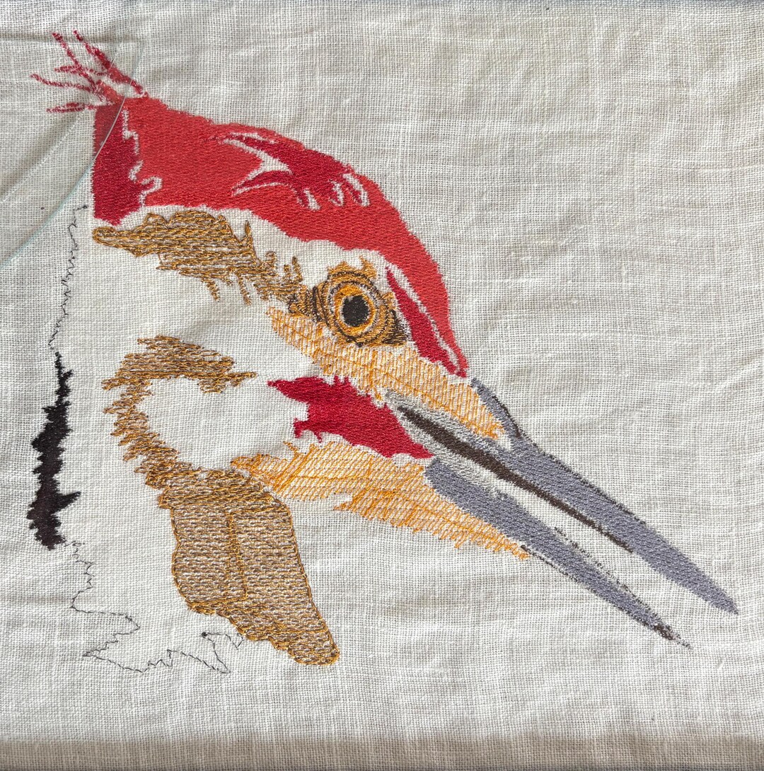 Embroidery Pileated Woodpecker - Etsy
