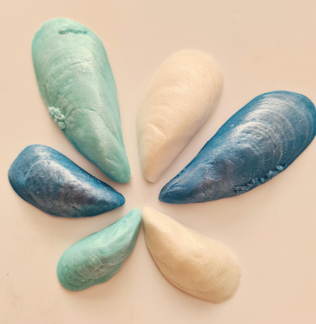 Edible Sugar Mussel Shells: Blue Aqua White Shimmer Cake Toppers - Etsy