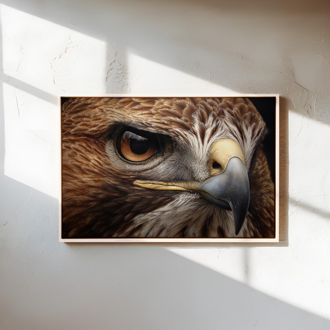 Hawk Canvas Wall Art : Realistic Raptor Portrait Canvas Print for ...