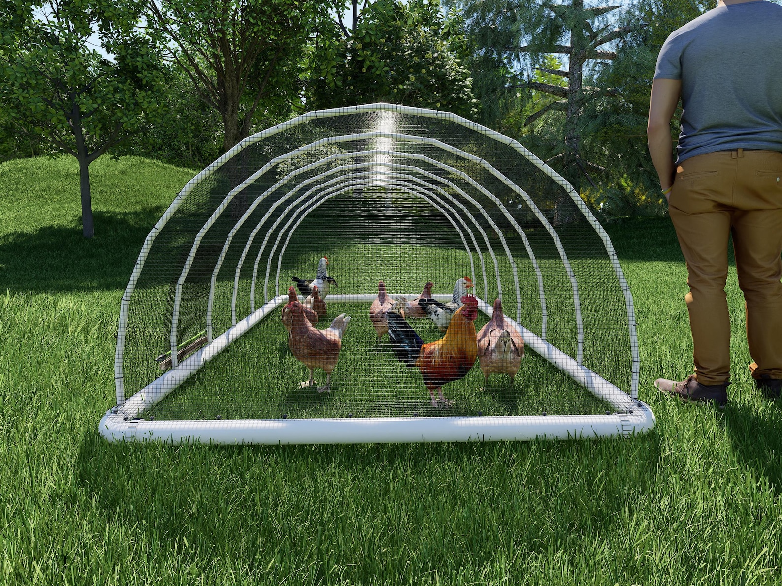 Chicken Coop Plans | Pipe Chicken Coop | PVC Pipe Chicken Run Plans ...