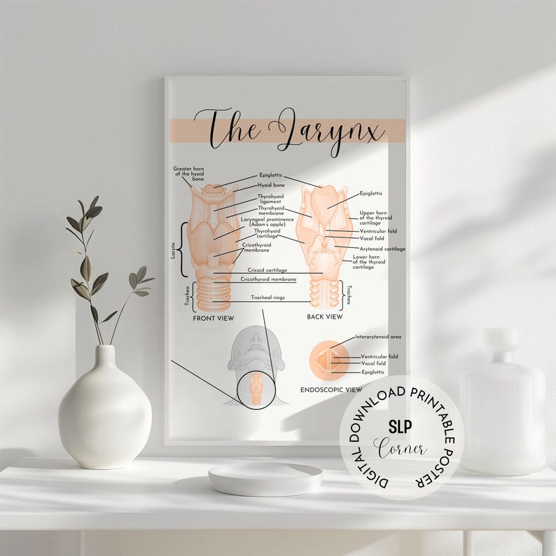 Larynx Anatomy Poster | Speech Pathologist Therapy Office Decor | Human ...