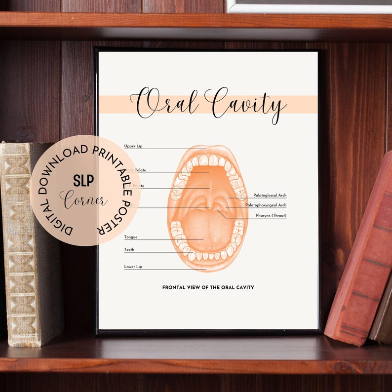 Oral Cavity Anatomy Poster | SLP Therapy Decor (digital Download) - Etsy