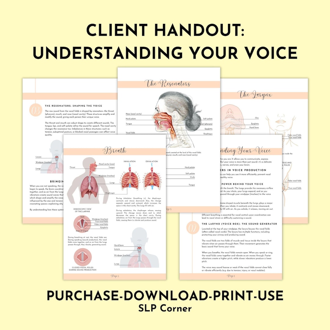Patient Handout Understanding Your Voice | SLP Speech Therapy ...