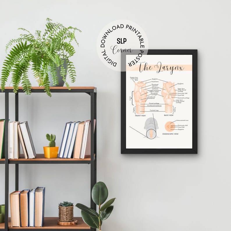 Larynx Anatomy Poster | Speech Pathologist Therapy Office Decor | Human ...