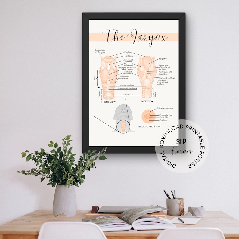 Larynx Anatomy Poster | Speech Pathologist Therapy Office Decor | Human ...