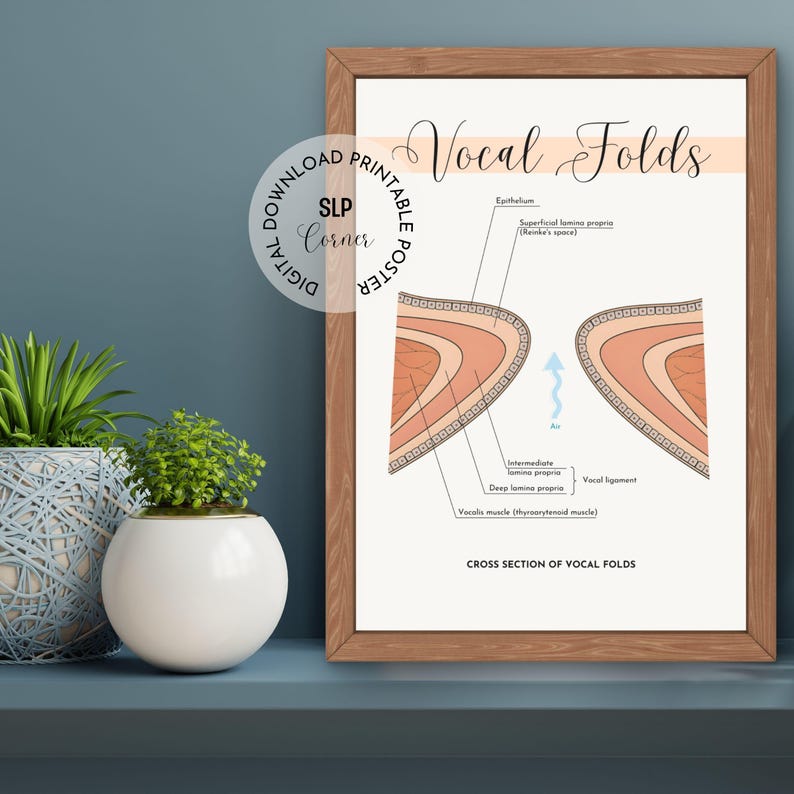 Vocal Folds Anatomy Print | SLP Therapy Office Decor | Human Anatomy ...