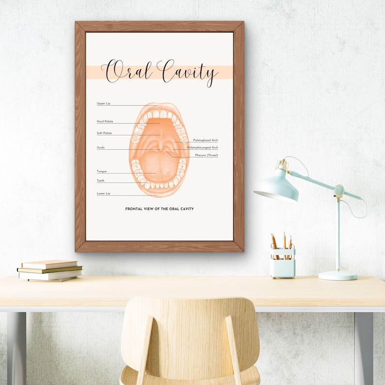 Oral Cavity Anatomy Poster | SLP Therapy Decor (digital Download) - Etsy