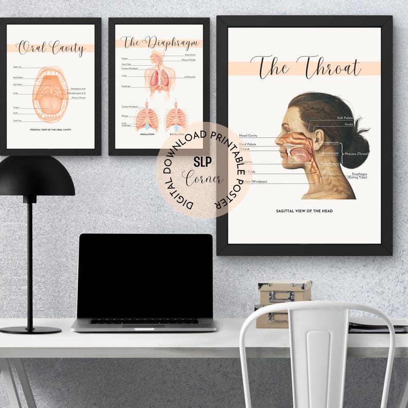 Oral Cavity Anatomy Poster | SLP Therapy Decor (digital Download) - Etsy