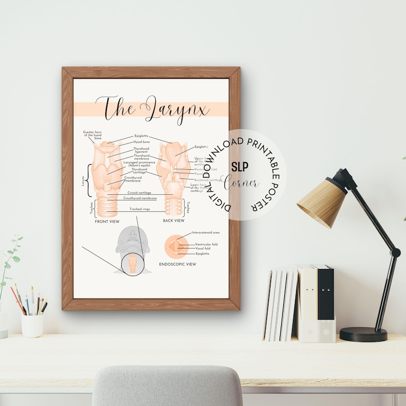 Larynx Anatomy Poster | Speech Pathologist Therapy Office Decor | Human ...