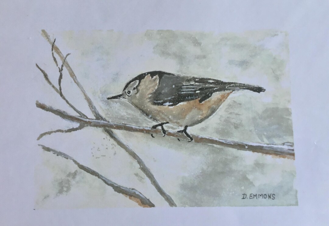 Nuthatch Bird on Branch Watercolor Print - Etsy