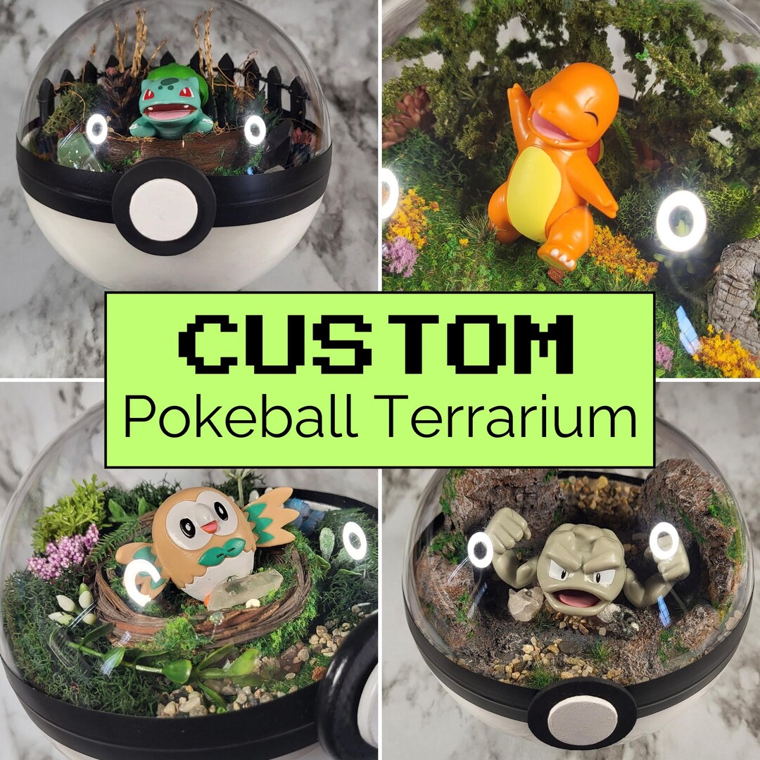 CUSTOM Pokémon Pokéball Terrarium/diorama - Etsy