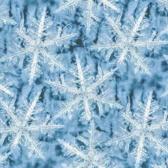Snowfall From Hoffman Fabrics 1/2 Yard Snowflakes on Powder - Etsy